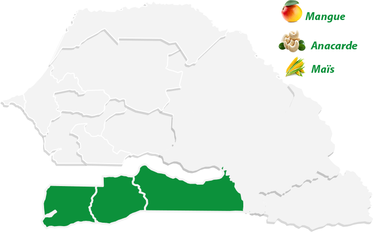 AGROPOLES - Suivi des opérations